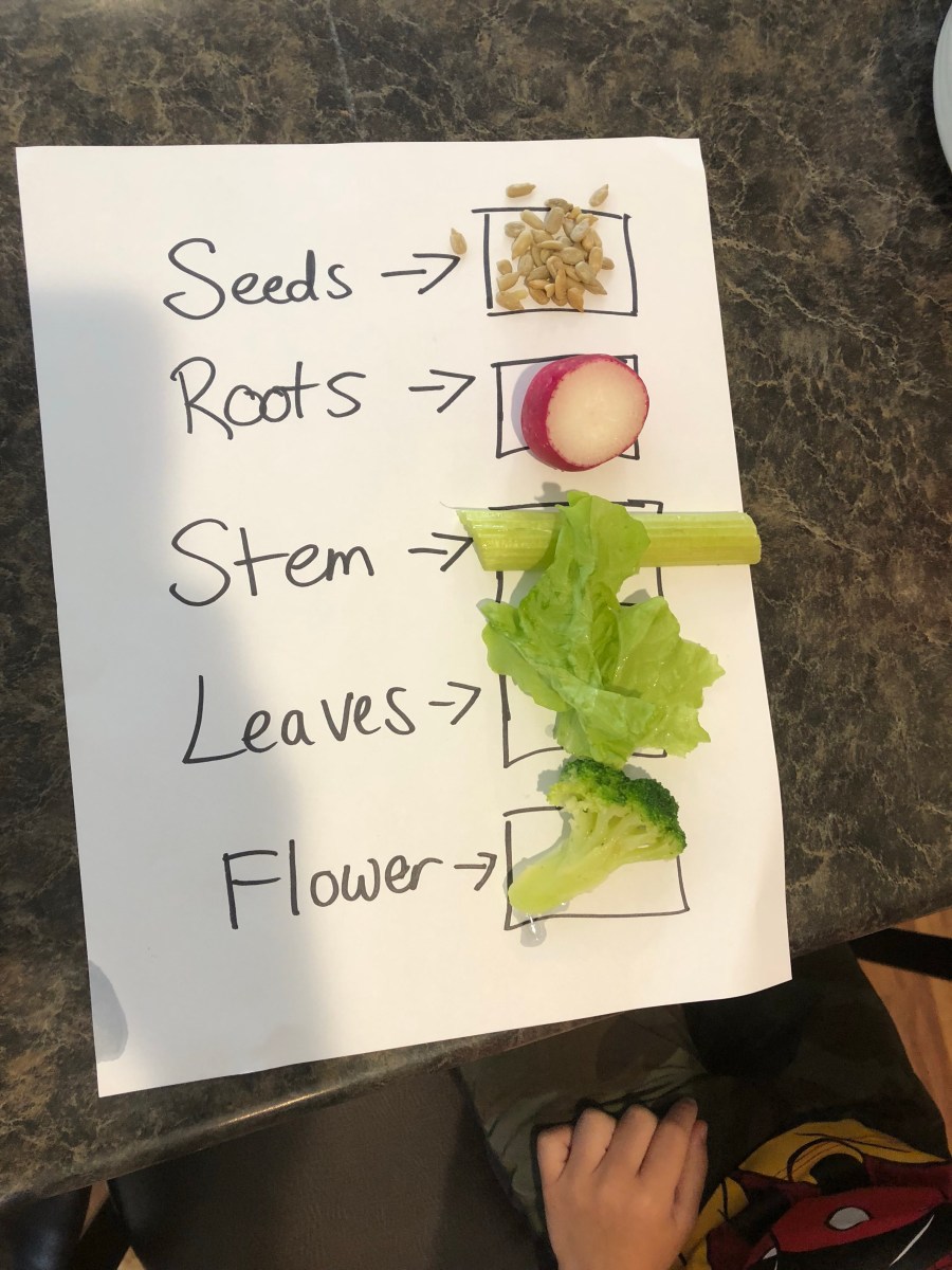 I Can Eat a Whole Plant – Adventures in Farmlife